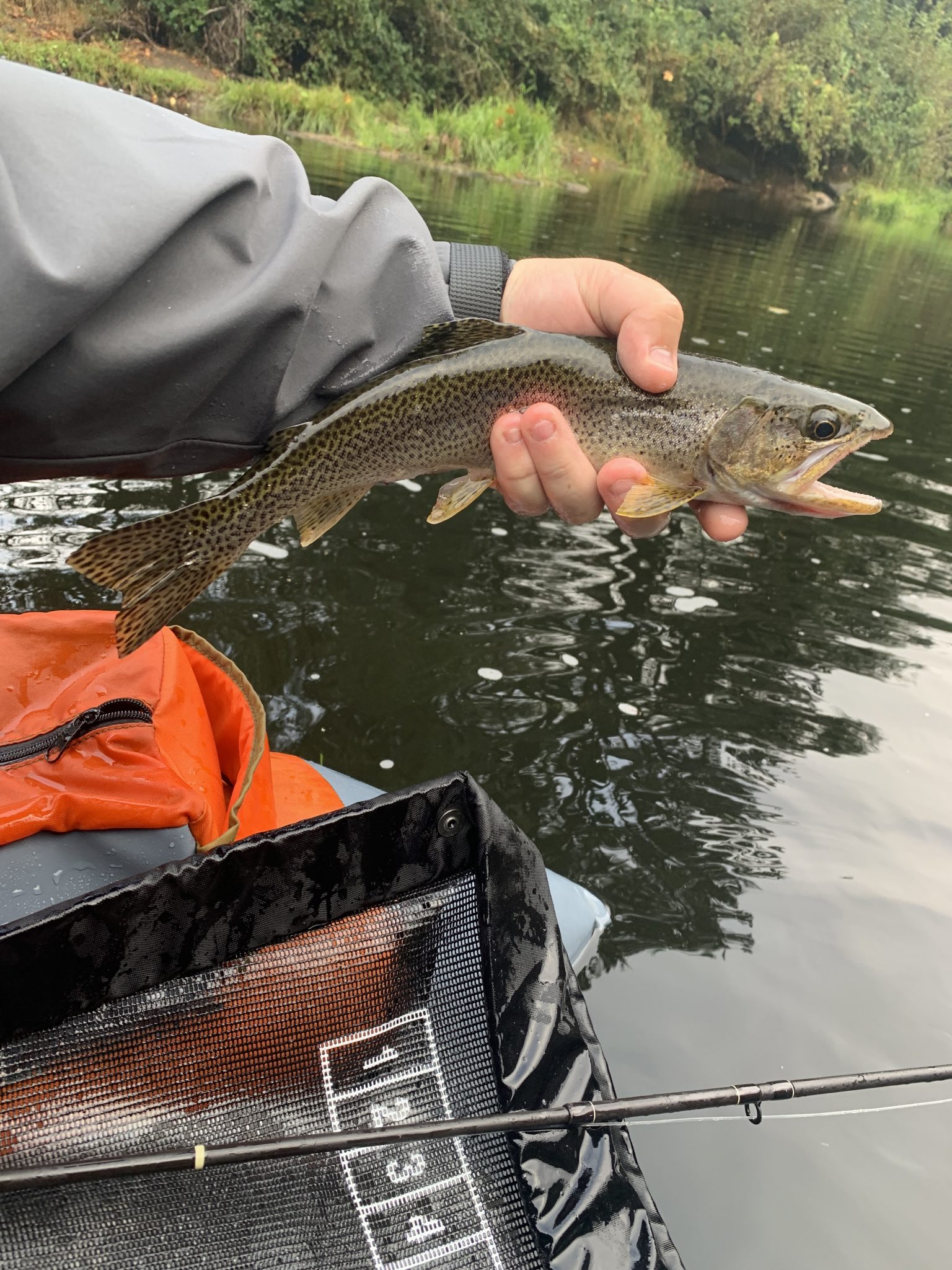 Oregon Fly Tying